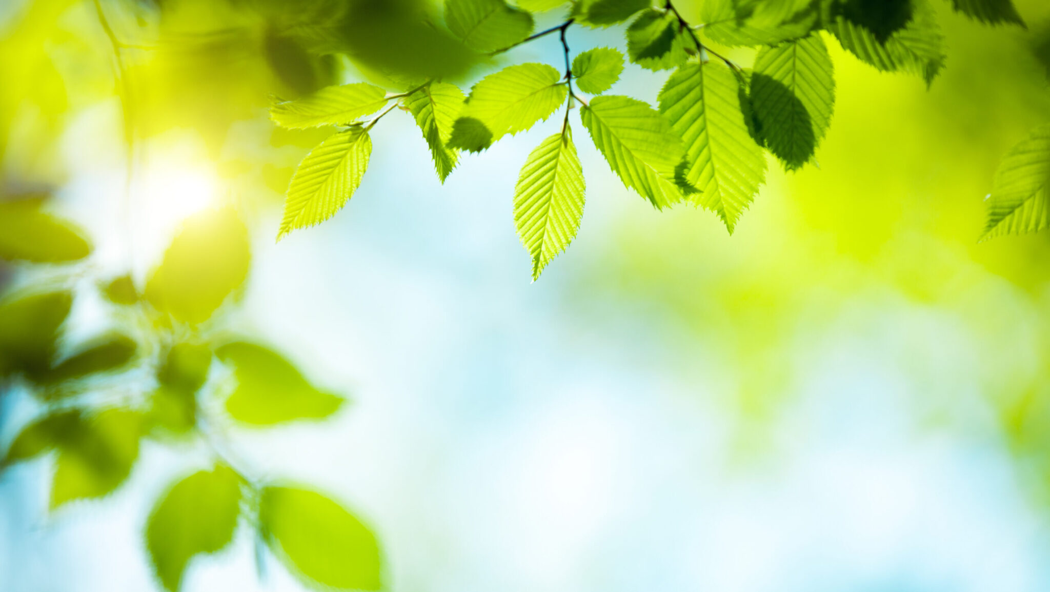 UK Energy Act 2023 — What to Know About the Landmark Act | Environment ...