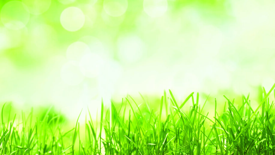 European RED III Seeks to Promote the Use of Green Hydrogen ...