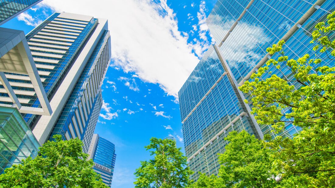 Singapore Unveils Blueprint for Sustainable Air Hub | Environment, Land ...