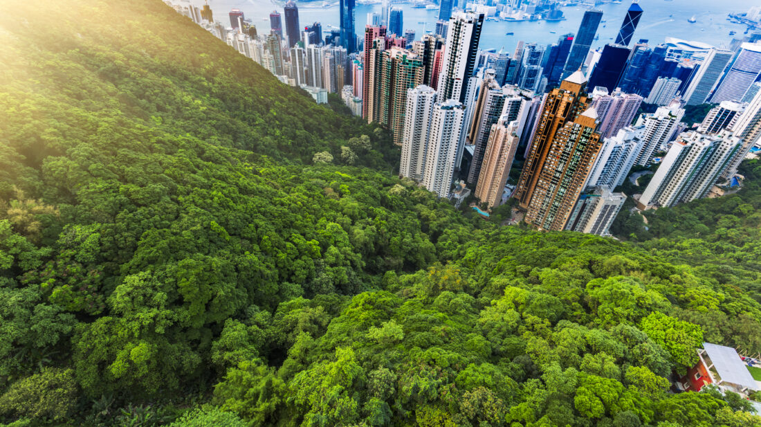 New Verra Methodology Aims to Create Carbon Credits Through Accelerated ...